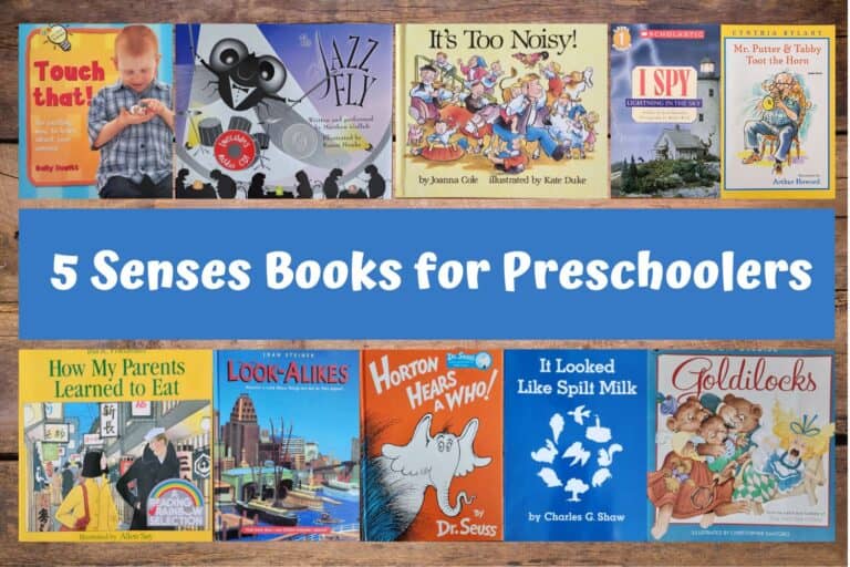 5 Senses Books For Preschoolers